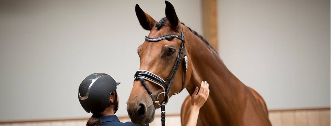 Banned VS Controlled Substances - Explained | Equestrian Australia